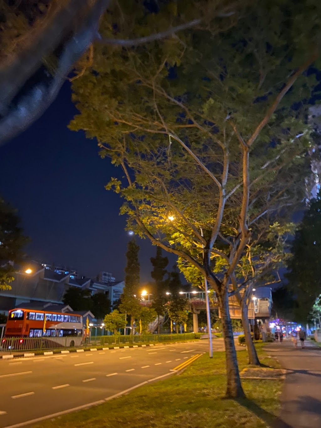 Littleone – Your Trusted Guide to School Enrolment in Singapore