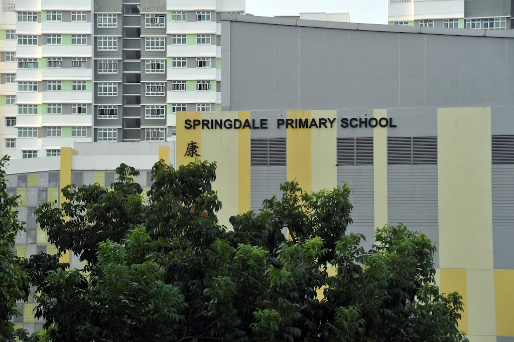 Littleone – Your Trusted Guide to School Enrolment in Singapore