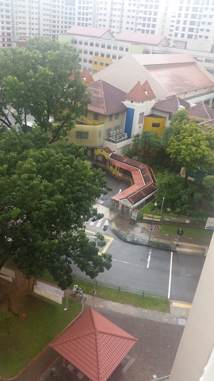 Littleone – Your Trusted Guide to School Enrolment in Singapore